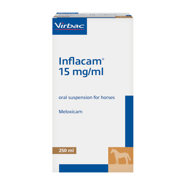 Inflacam Equine Oral Suspension (15mg/ml)