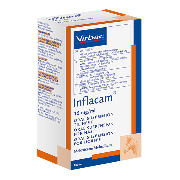 Inflacam Equine Oral Suspension (15mg/ml)