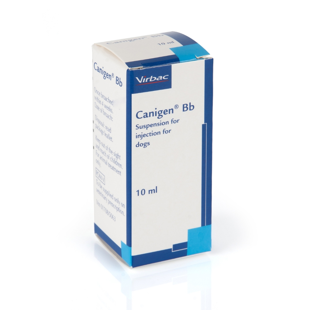 We Are Excited to Announce the Arrival of Canigen® Bb, A New Injectable ...